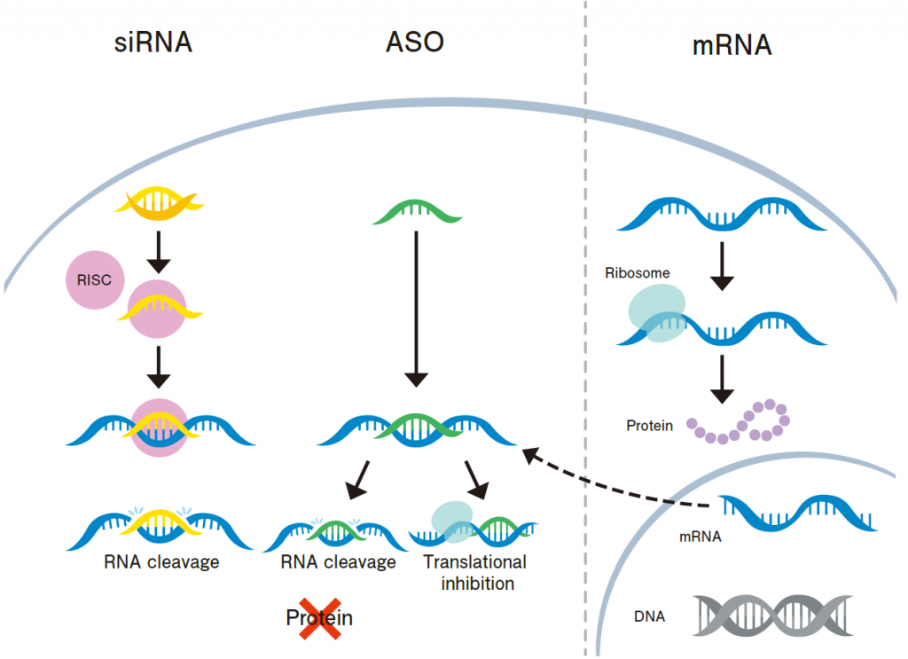 Technologies – AccuRna, Inc.